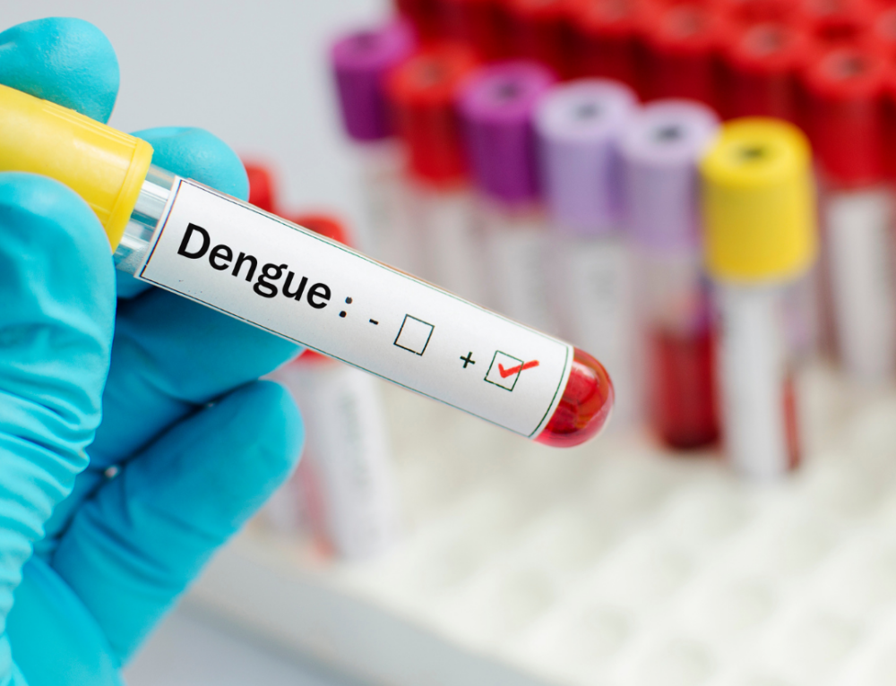 DIAGNÓSTICO LABORATORIAL DA ANEMIA PERNICIOSA (AP): Uma avaliação ...